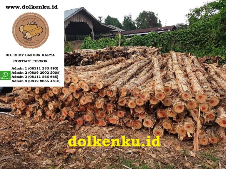 KAYU DOLKEN CIAMIS BERKUALITAS MURAH