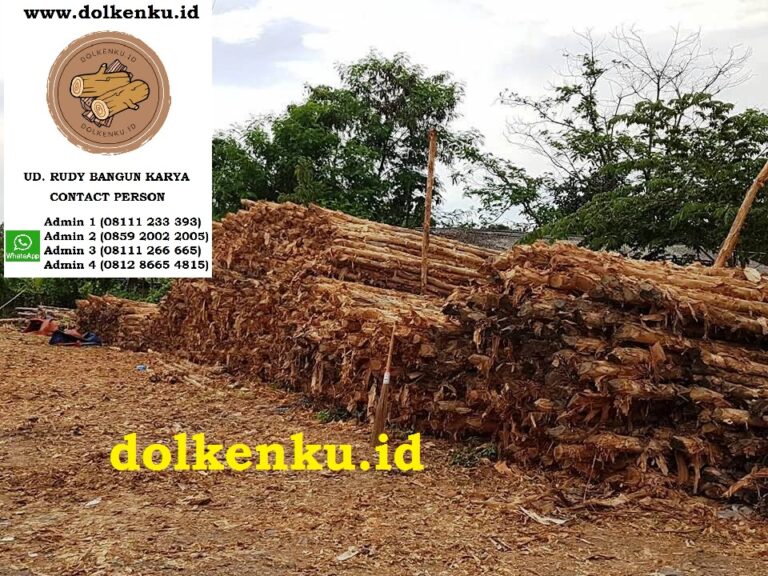 KAYU DOLKEN SERANG BERKUALITAS MURAH