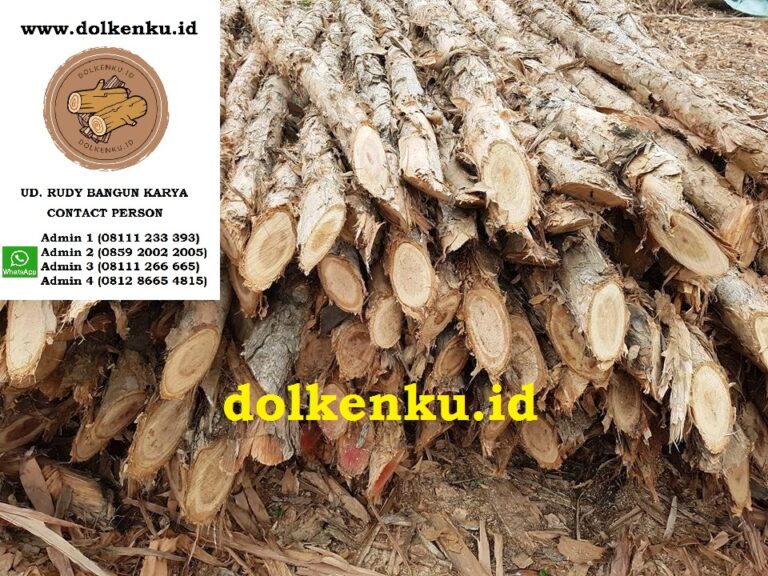 Manfaat Kayu Dolken Gelam: Kekuatan, Keindahan, Keberlanjutan