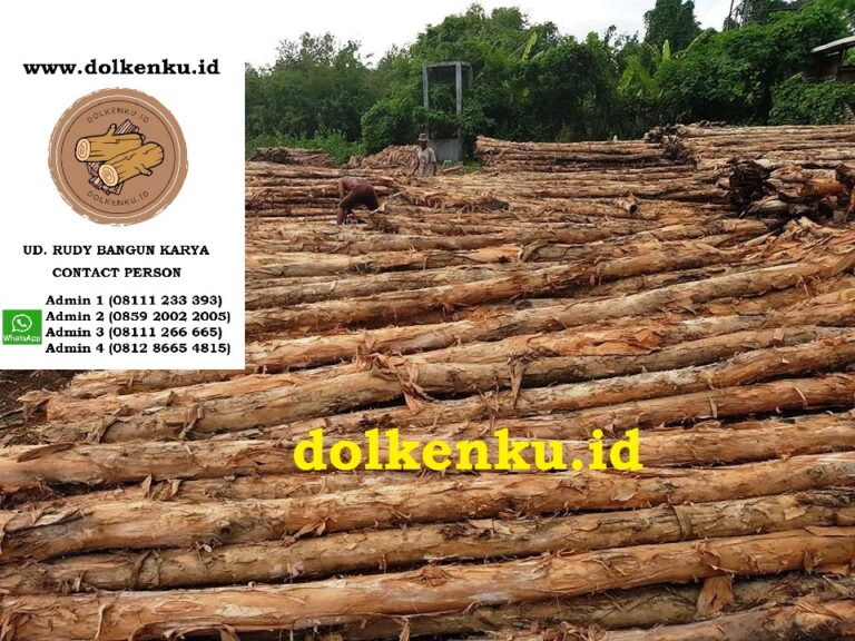 KAYU DOLKEN BOYOLALI BERKUALITAS MURAH