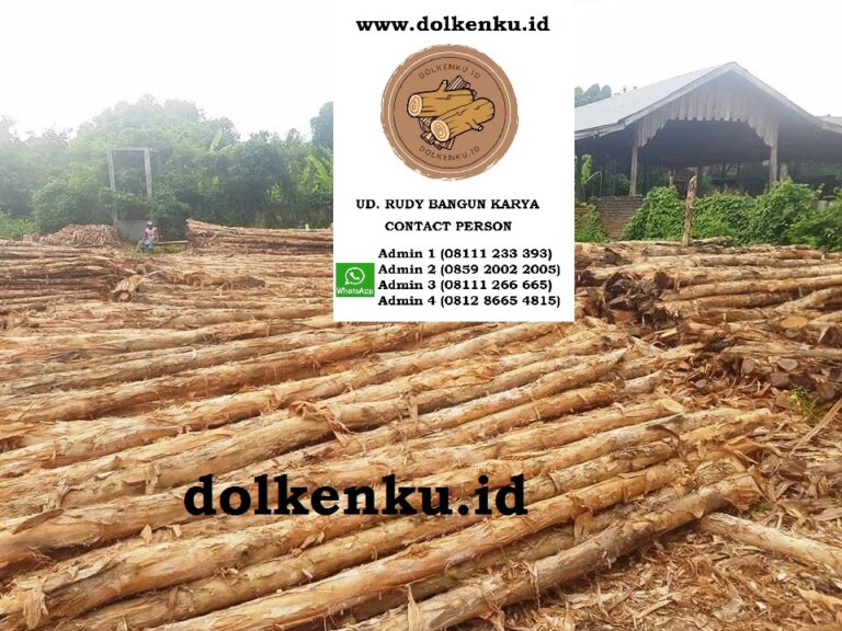Manfaat Kayu Dolken Gelam: Kekuatan, Keindahan, Keberlanjutan
